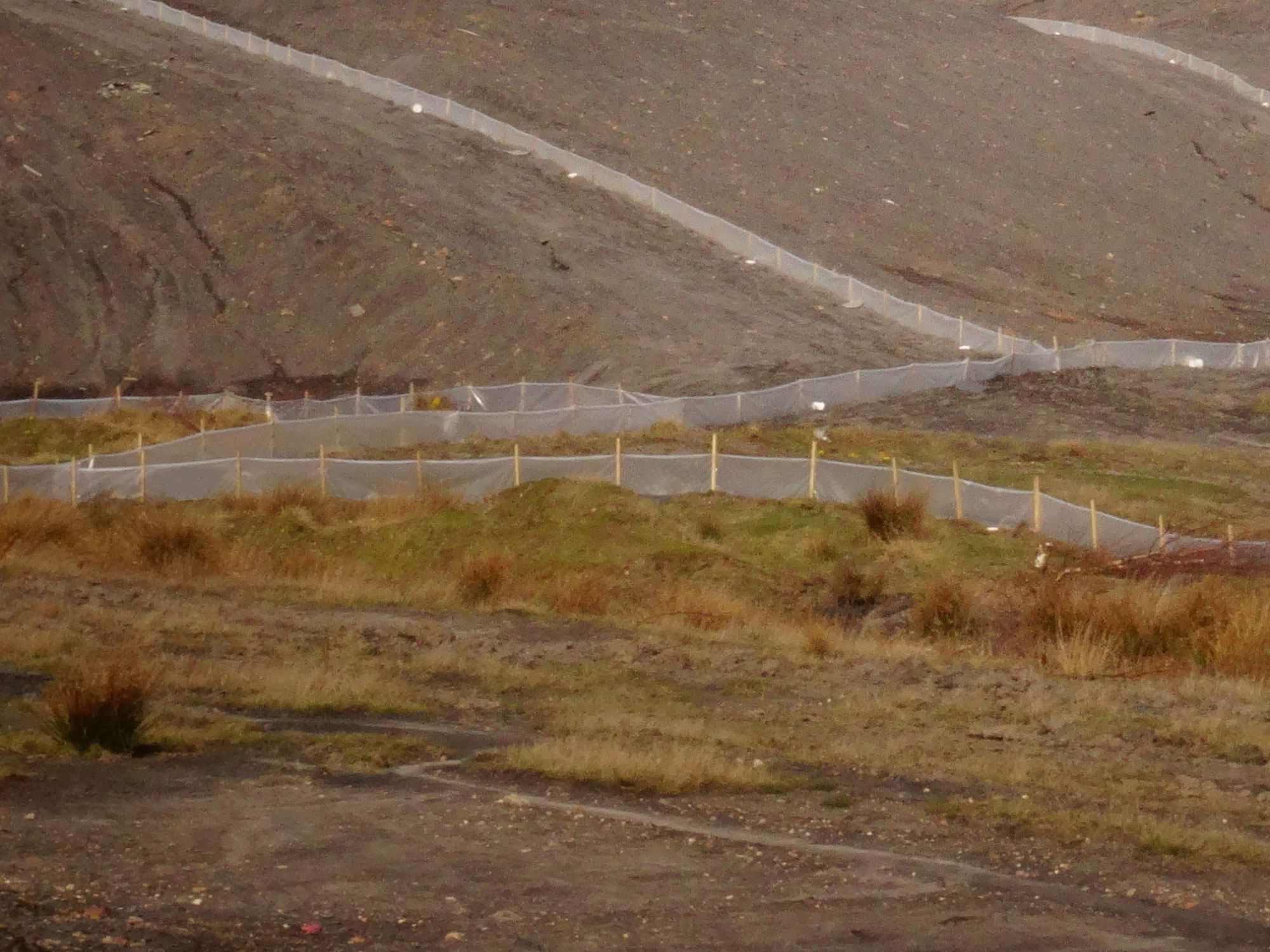 Fencing | Fenicing For Wildlife & Habitats